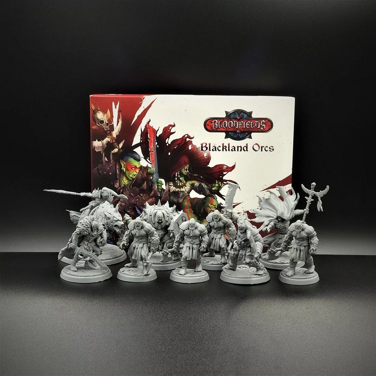 Bloodfields: Blackland Orcs Starter Set Titan Forge TF00216 | Occam ...